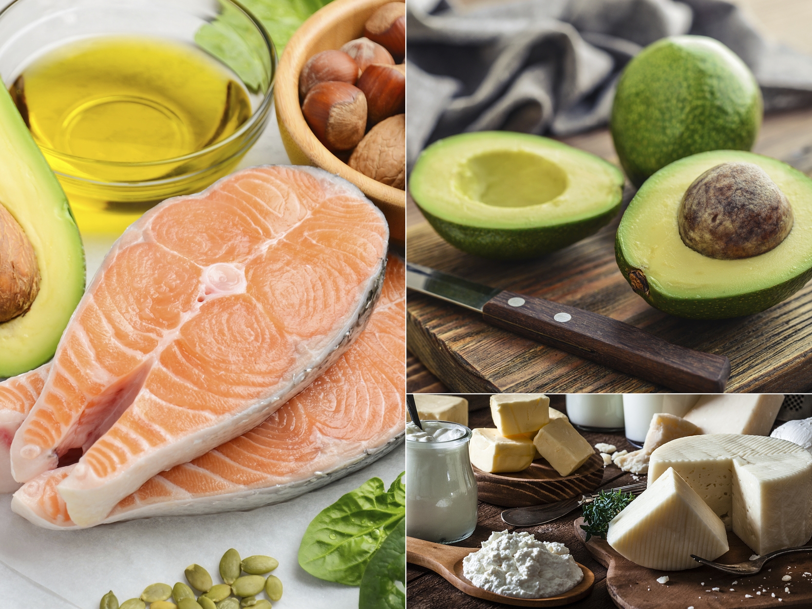 Lesson 2.4: Fats – Instructor Resource Center